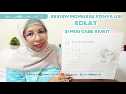 REVIEW POMPA ASI ECLAT MOMABAE DOUBLE PUMP