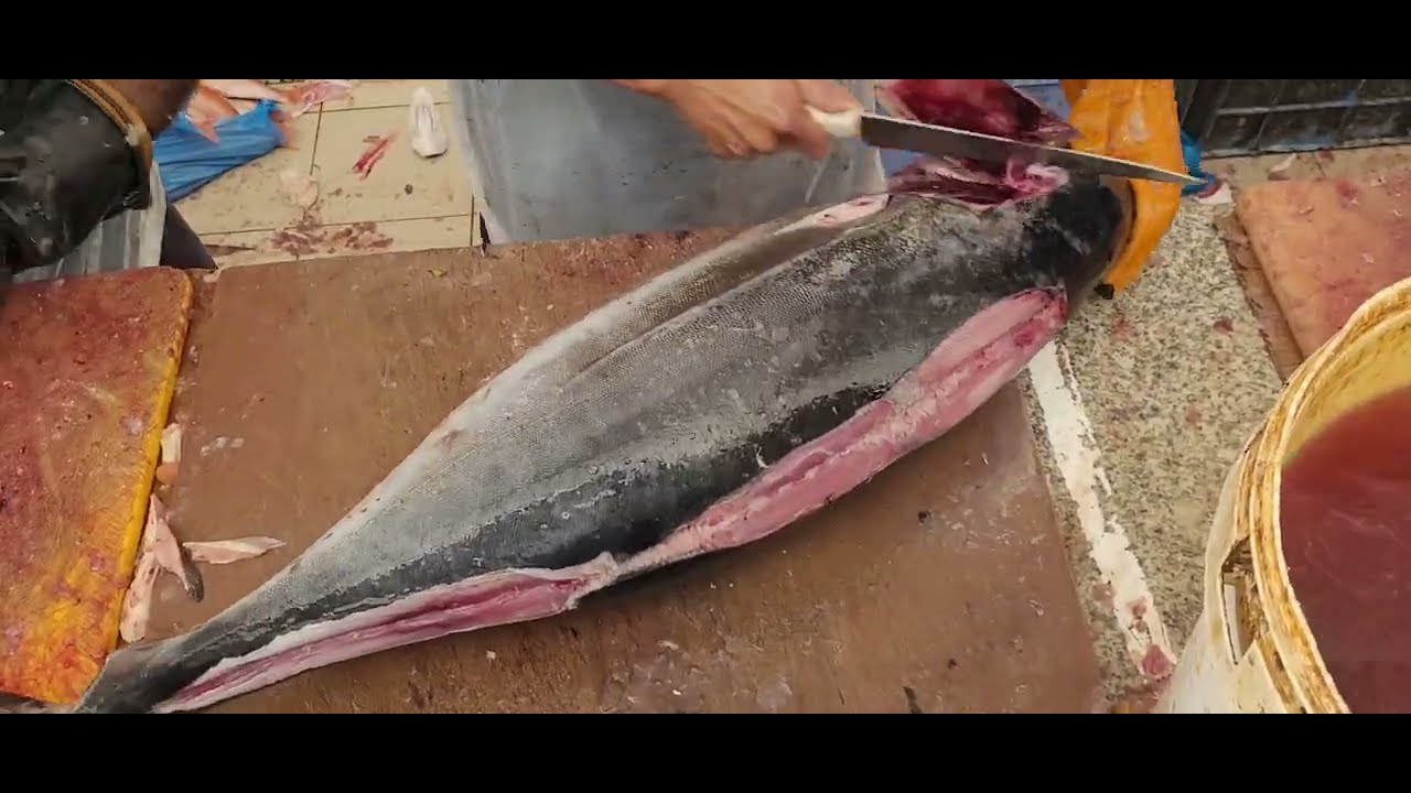 Speedy Fish Cutting Master|| Dangerous Fastest Fish Cutting|| $200 Tuna ...