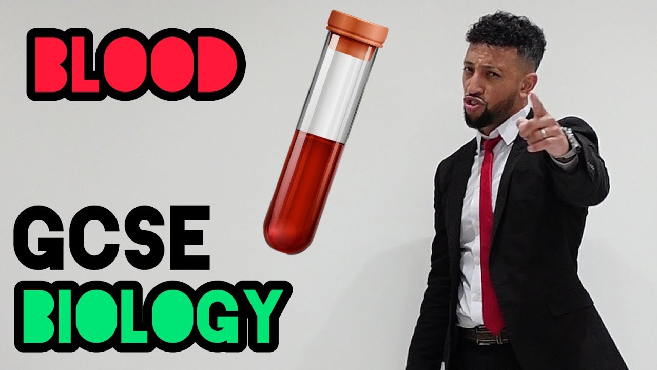 Science Raps: GCSE Biology - Blood - YouTube