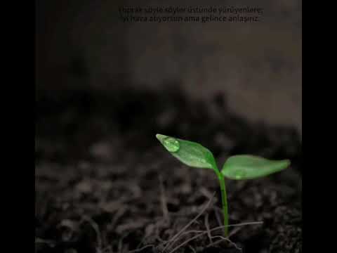 Benim Sadık Yarim Kara Topraktır #aşıkveysel #benimsadıkyarimkaratopraktır #hayatiinanç #karatoprak