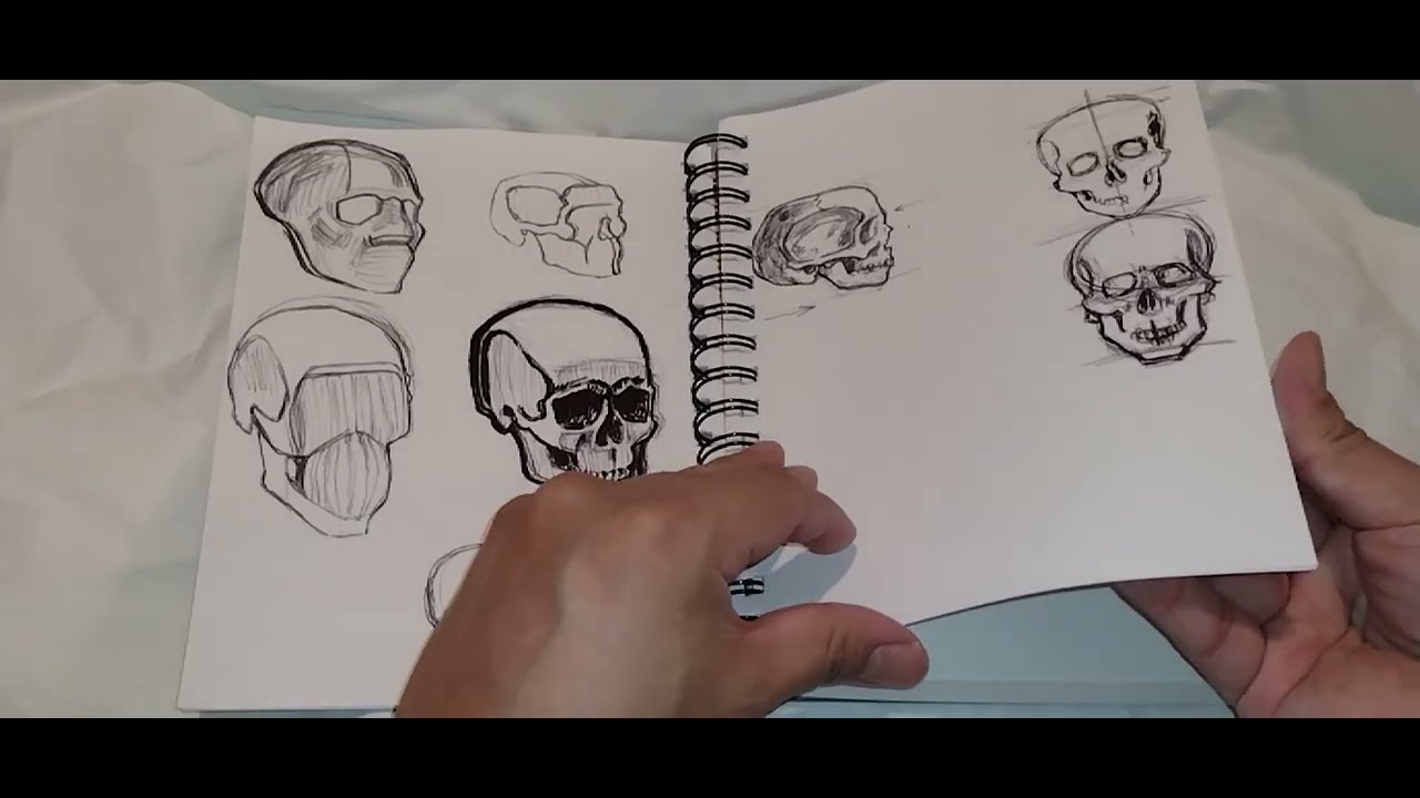 Morpho Anatomy Main Book Only First 2 Pages Redraw - YouTube