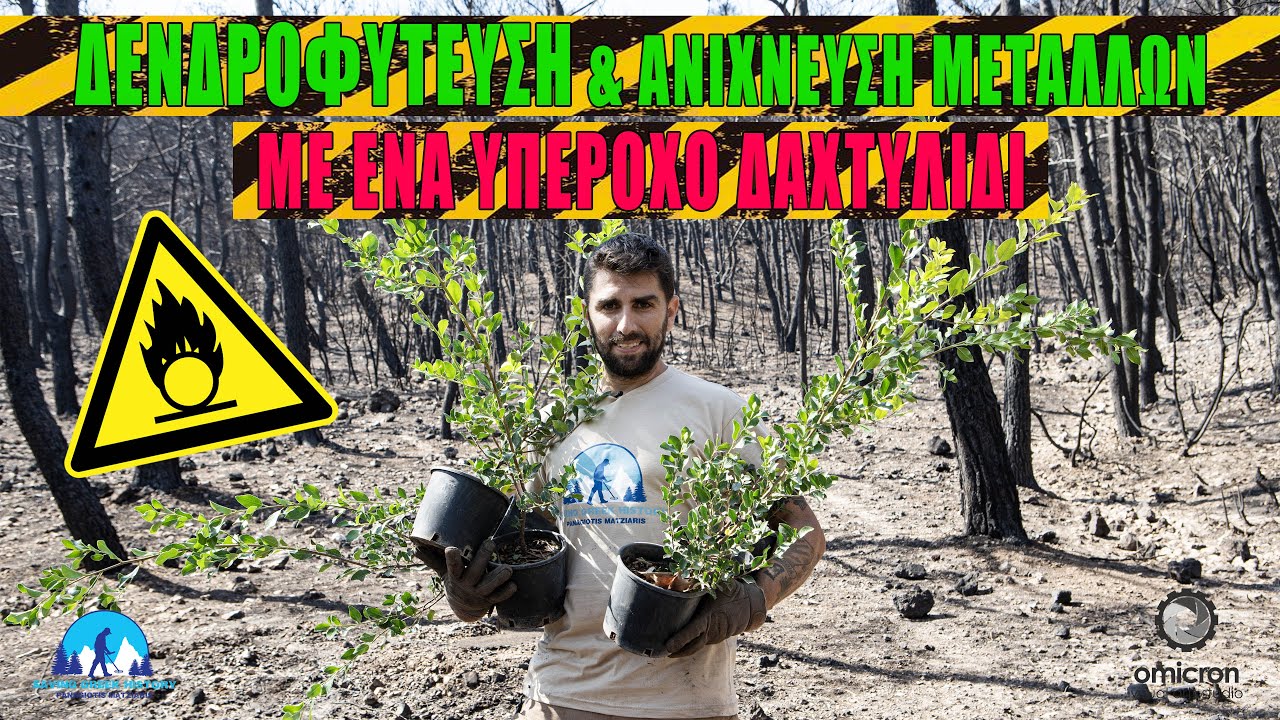 Δενδροφύτευση & ανίχνευση μετάλλων με ένα υπέροχο δαχτυλίδι. - YouTube