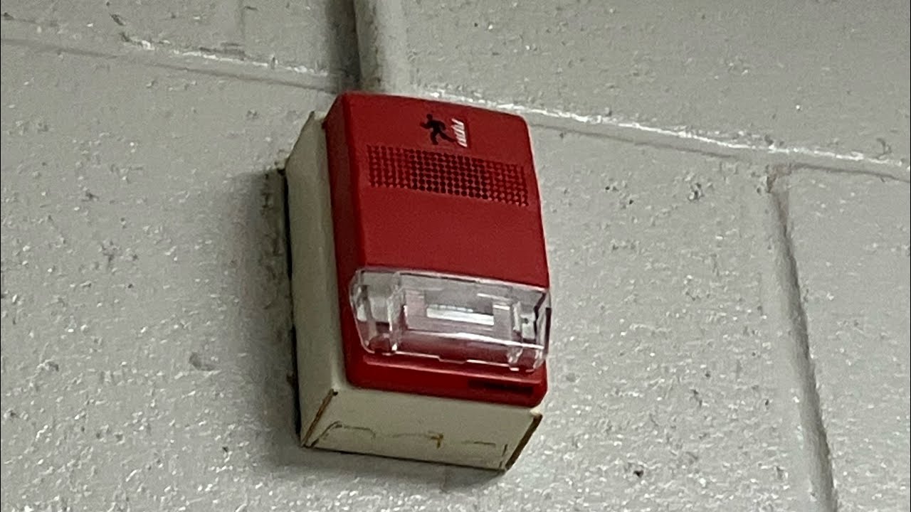 Wheelock LED Comparison - YouTube