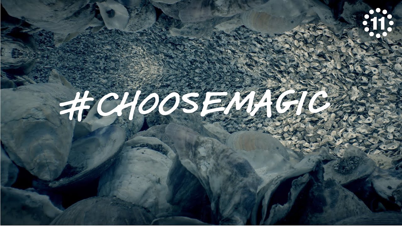 Choose Magic - YouTube