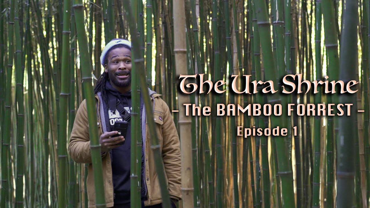 The Bamboo Forrest - (Full Episode) - YouTube