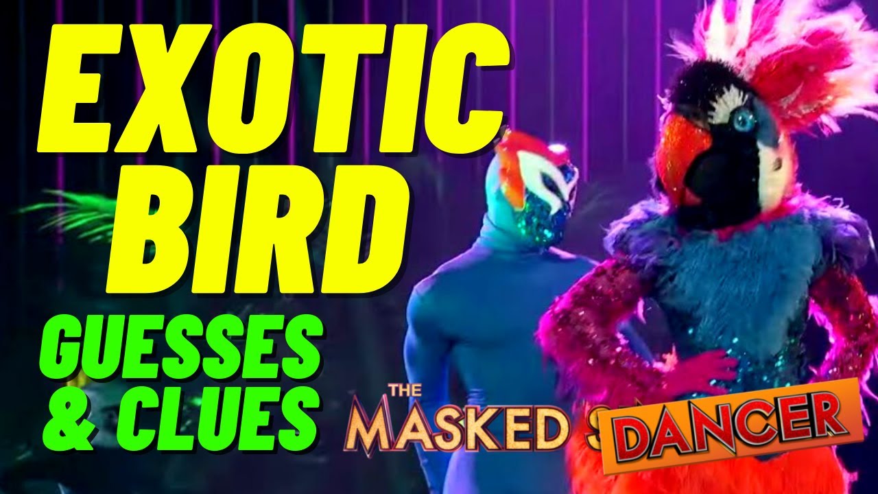 The Masked Dancer Exotic Bird - Clues and Judges Guesses - YouTube