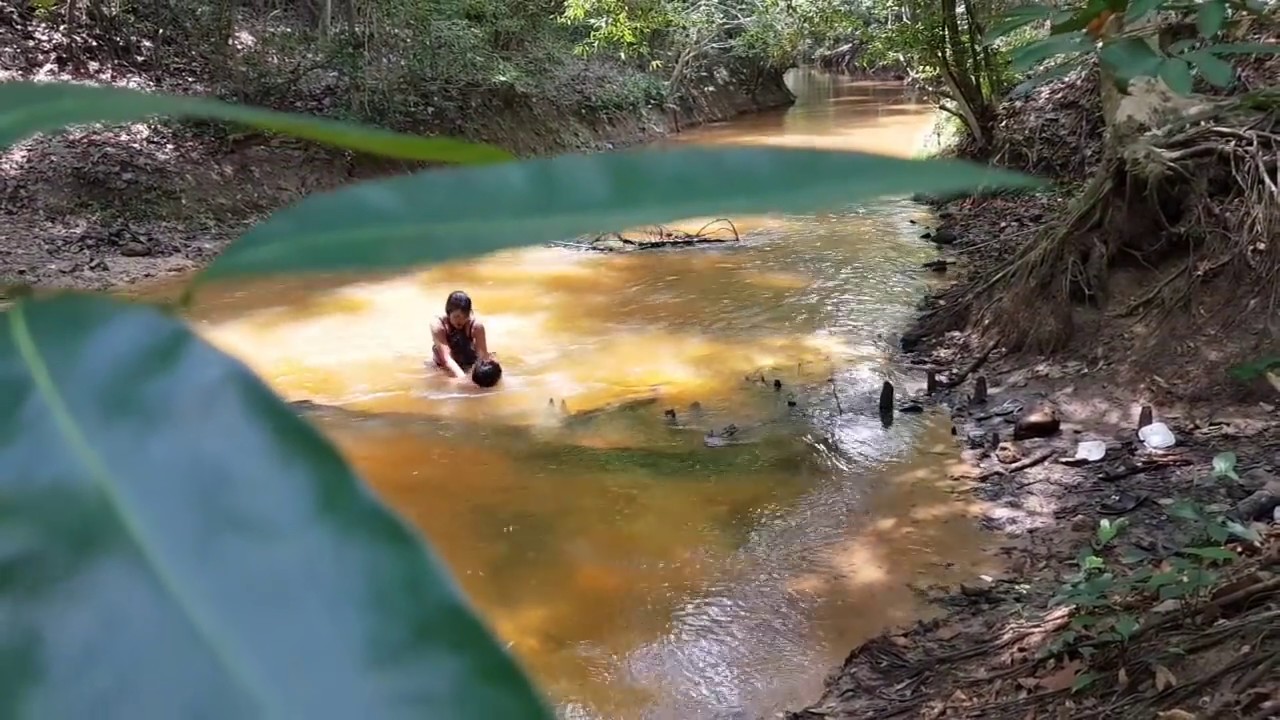 How to swimming in the river, Teaching multi-way ,Learning never end ...