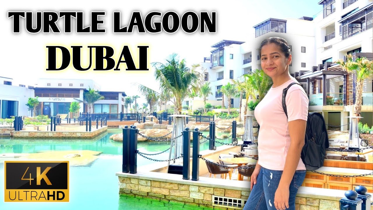 Free Place To Visit in Dubai | Jumeirah Turtle Lagoon | Hidden Gems in ...