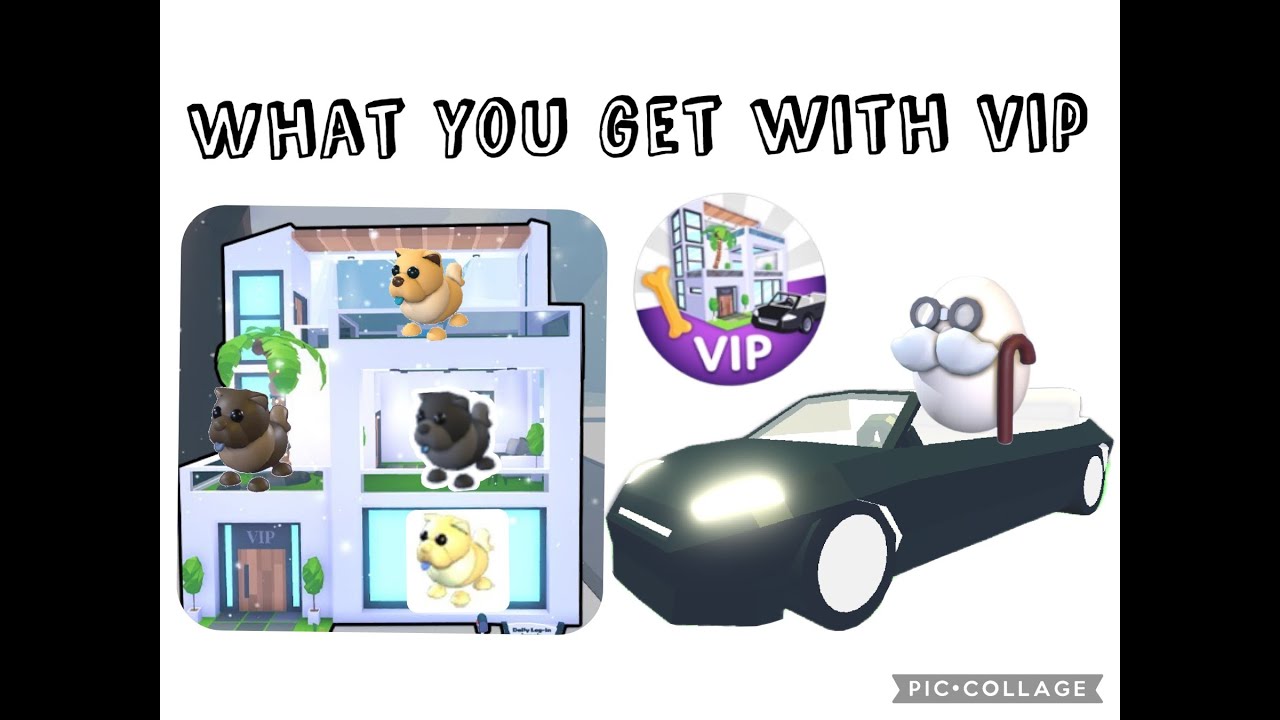 What you get with VIP Game pass (Adopt Me) - YouTube