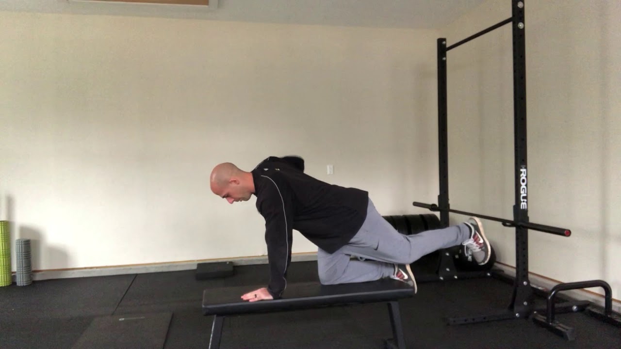 Rotary Stability row - YouTube