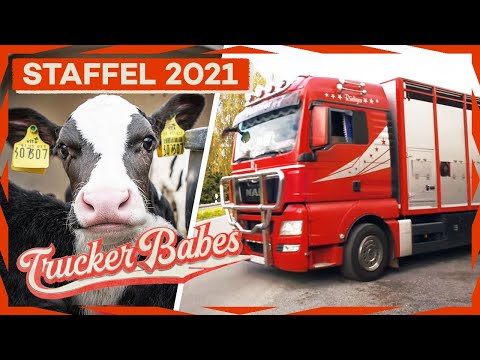 Aus Trucker Babe wird Cowgirl - Tina auf Kälberjagd! | Trucker Babes Kabel Eins