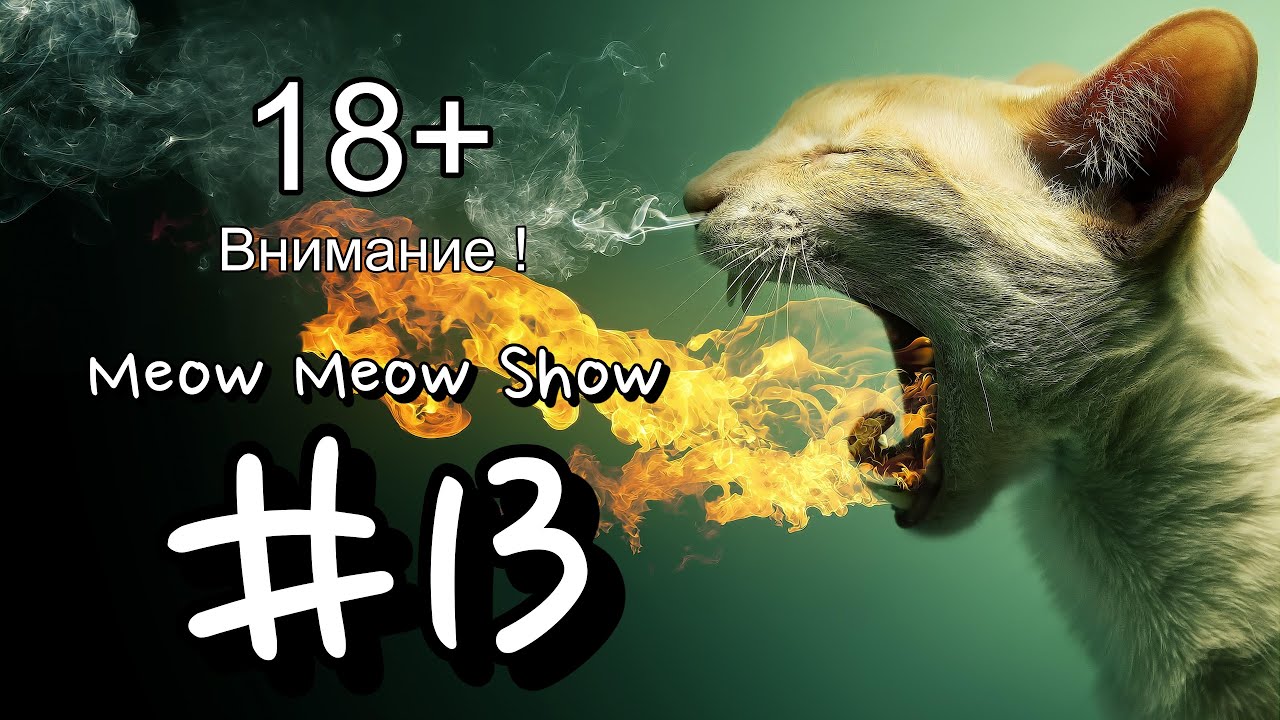 Meow Meow Show compilation #13 - YouTube
