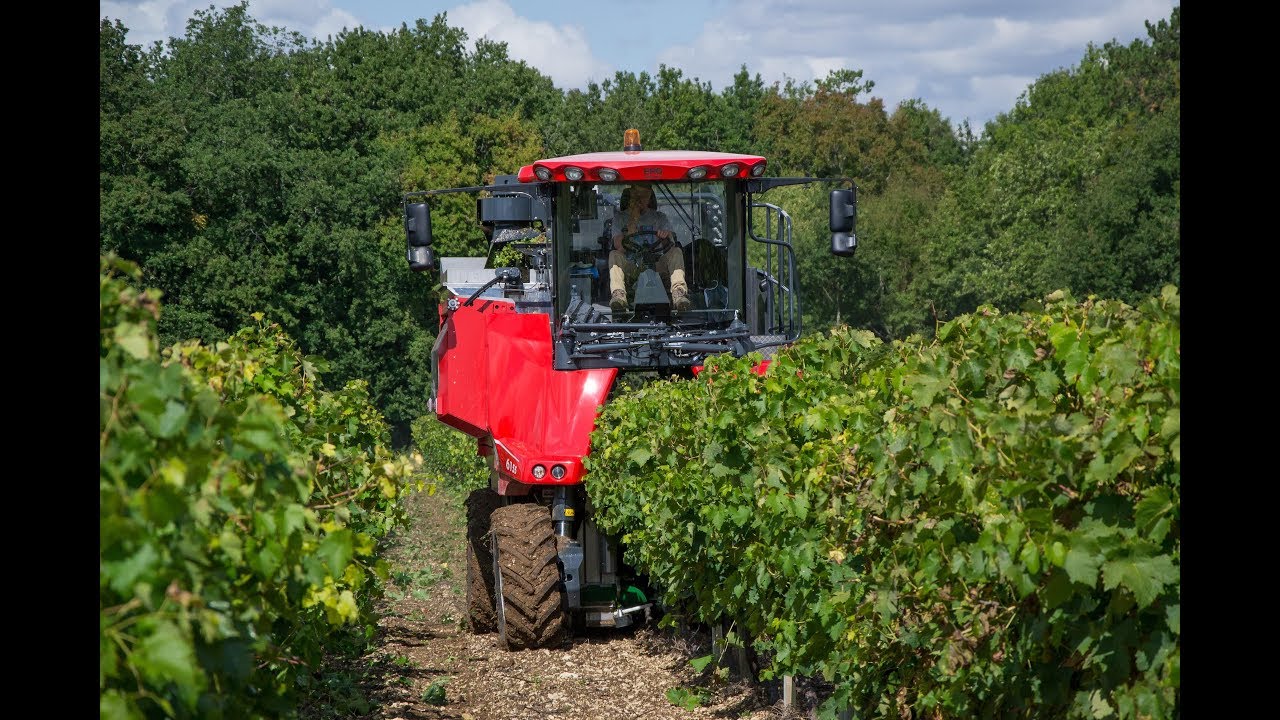 Vendanges 2017 - De la vigne au pressoir - Ero 6155 - ETA Faurie Pascal ...