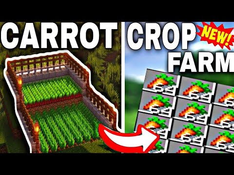 Minecraft 1.19 : Easy Auto {Carrot Crop Farm} || Tutorial! - YouTube