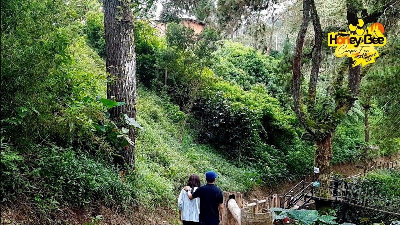 BROMO FOREST AREA CAMPING - YouTube