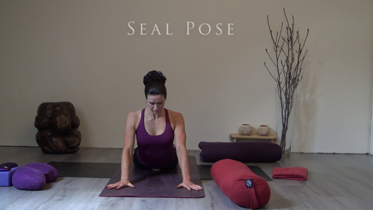 Seal Pose | Yin Yoga | Mindfulness Centrum Heuvelrug | Veenendaal ...
