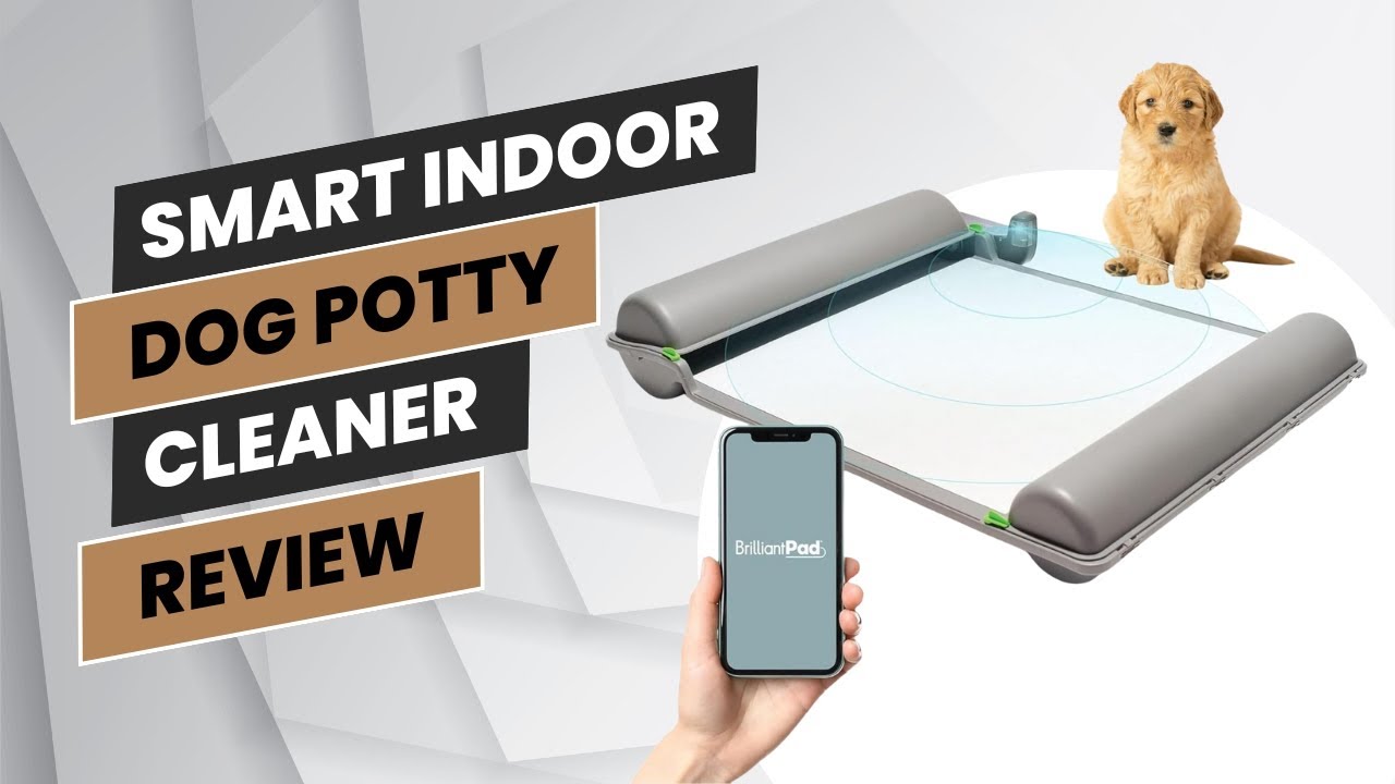 Revolutionize Your Pet Care with the BrilliantPad Smart Indoor Dog ...