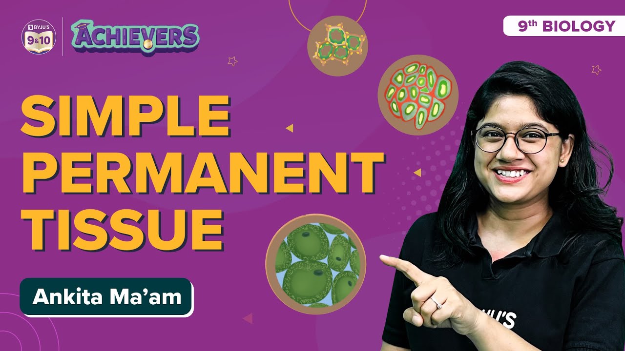 Simple Permanent Tissues Class 9 Science Biology Formation simple-permanent-tissues-class-9-science-biology-formation