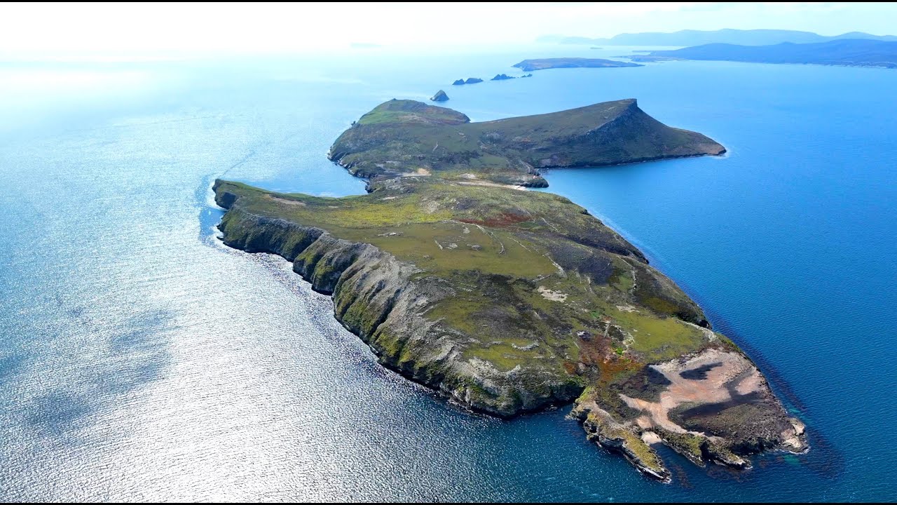 Hummock - Ein Naturparadies wird Wiederbelebt - YouTube