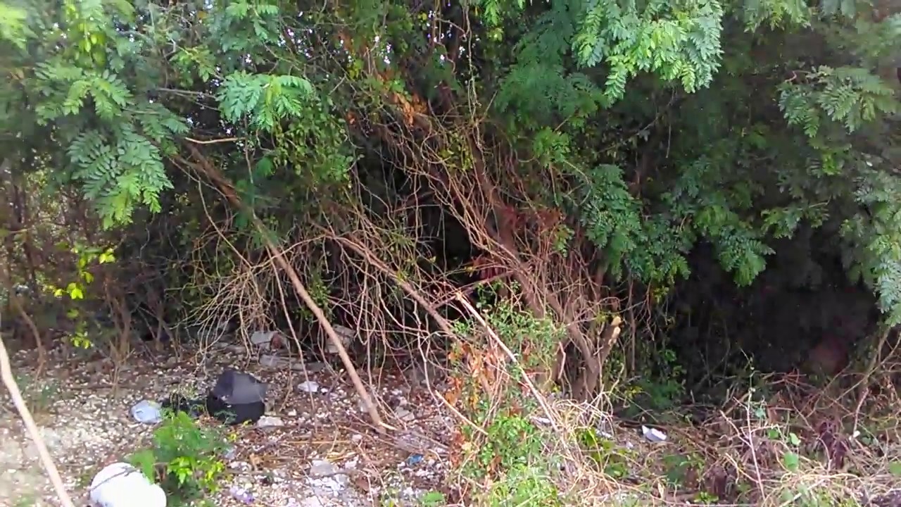 Grazettes St Michael Barbados - YouTube
