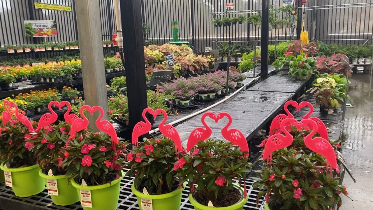 Viewing Beautiful Flowers - YouTube