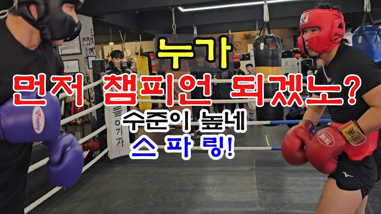 누가 먼저 챔피언이 되겠노 수준이 높네 스파링 Boxing 권투 다이어트복싱 프로복싱 복싱 복싱스파링 스파링