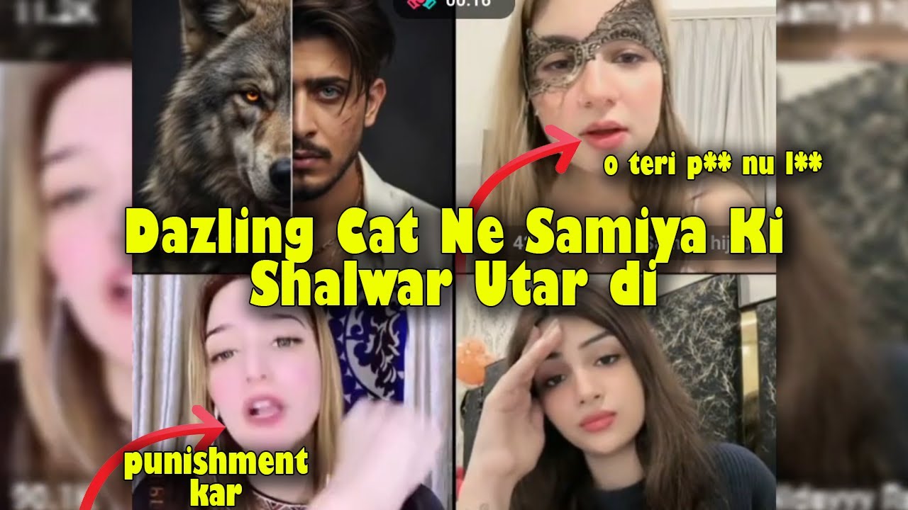 Dazling Cat, Samiya Or MP Ki Shadeed Larai | Samiya Dazling Abusing ...