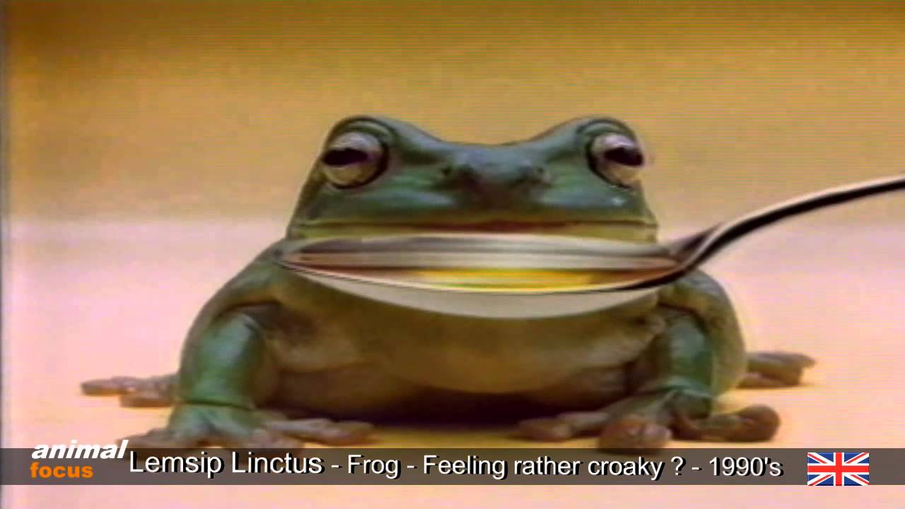 Lemsip Linctus and Expectorant - Croaky Frog - Starts crooning - YouTube
