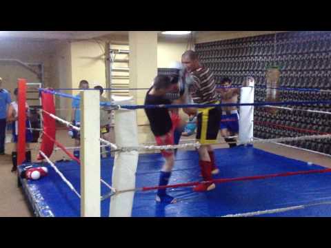 Qara Eqreb vs Boz Qurd