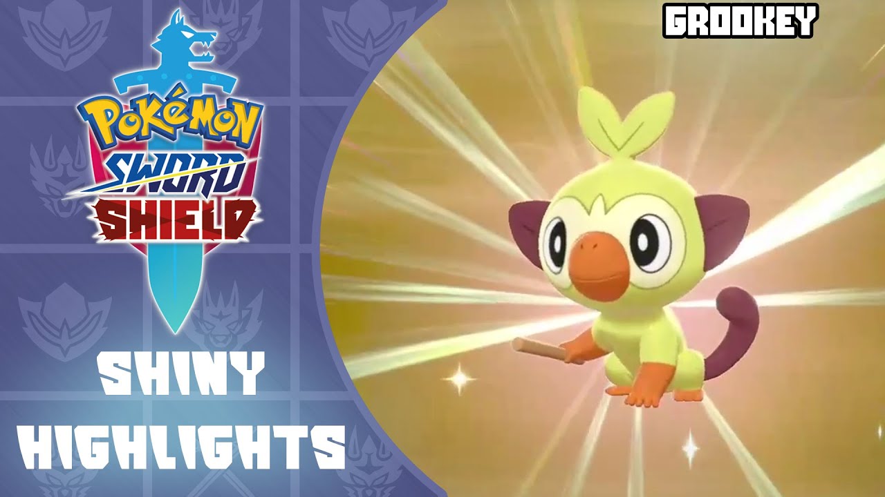 SHINY GROOKEY REACTION! - Pokemon Sword and Shield - YouTube
