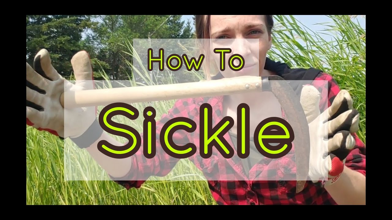 How To Use A Sickle - YouTube
