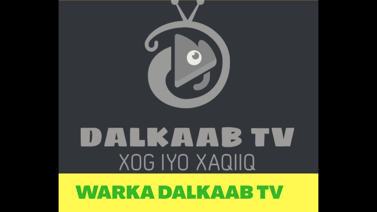 DAAWO: WARKA DALKAAB TV - YouTube