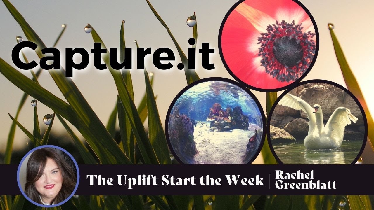 Capture.it Competition | The Uplift Magazine