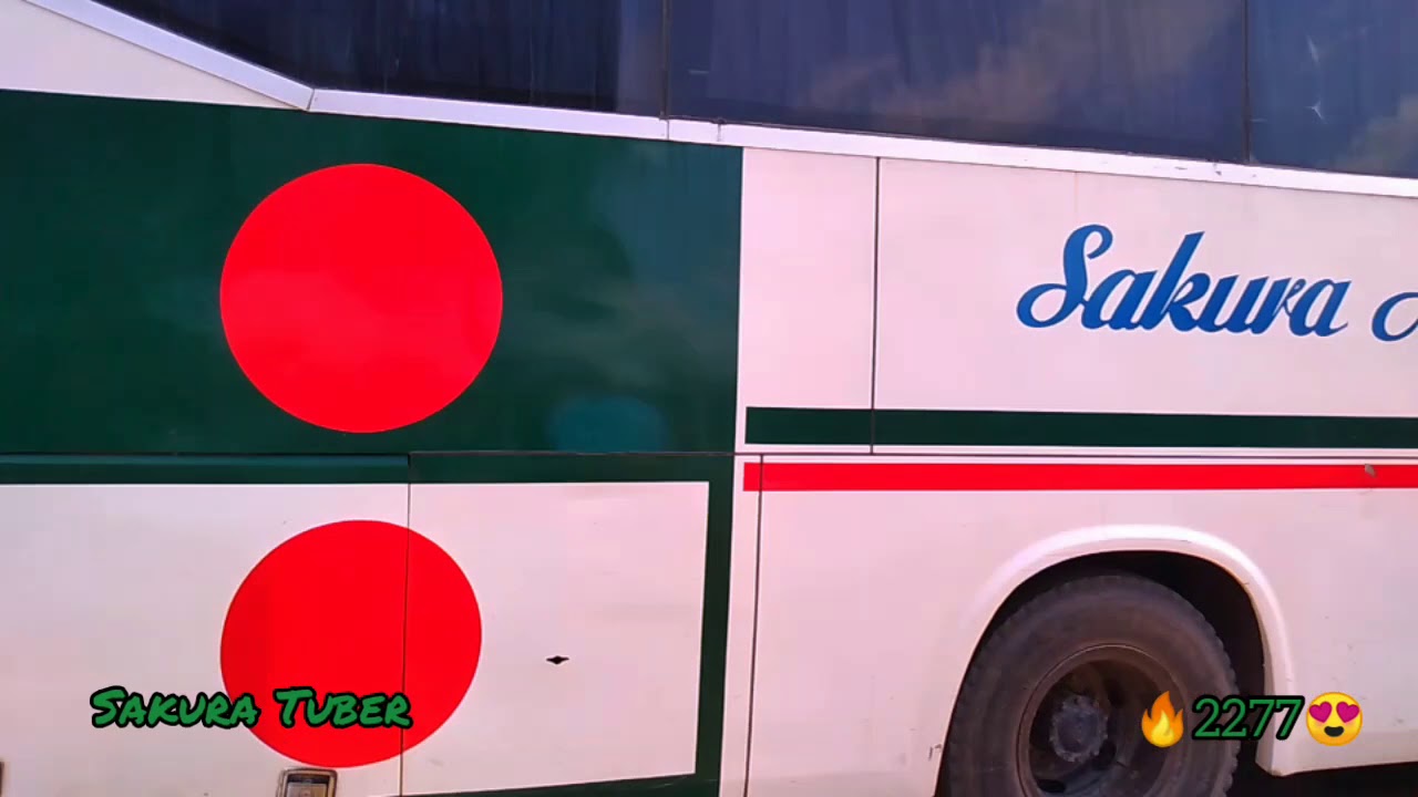 Introducing white beauty😍 Sakura Ac Bus 2277 - YouTube