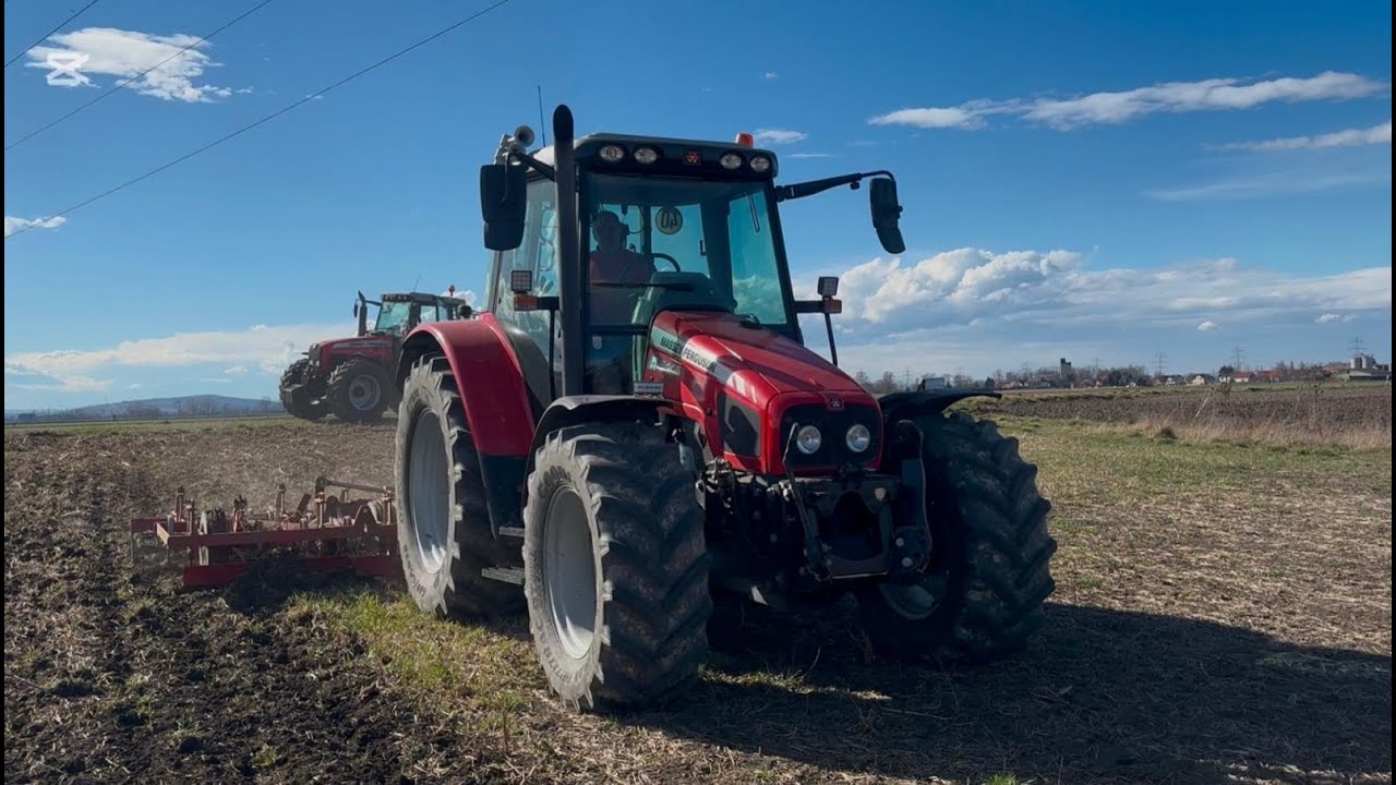 Maisfelder herrichten mit dem MF 5445 und Kolgskilde Vibromaster 490 - YouTube