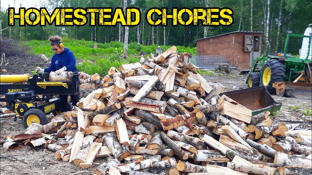 Homestead Chores on our 160 acres/ Life in remote Alaska - YouTube