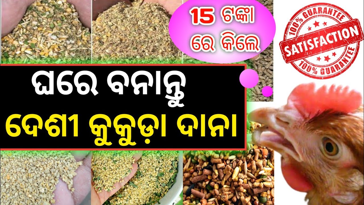 Step-by-Step Guide: How to Make Homemade Poultry Feed - YouTube