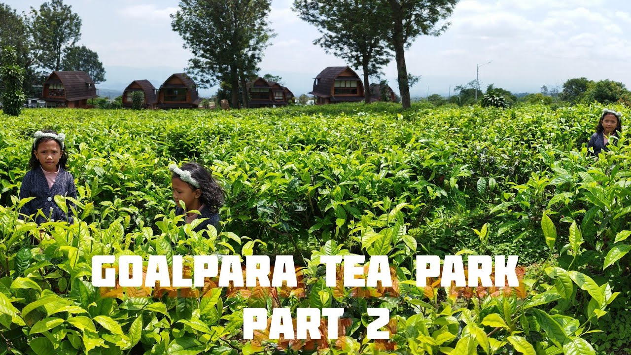 Goalpara Tea Park Part 2 - YouTube