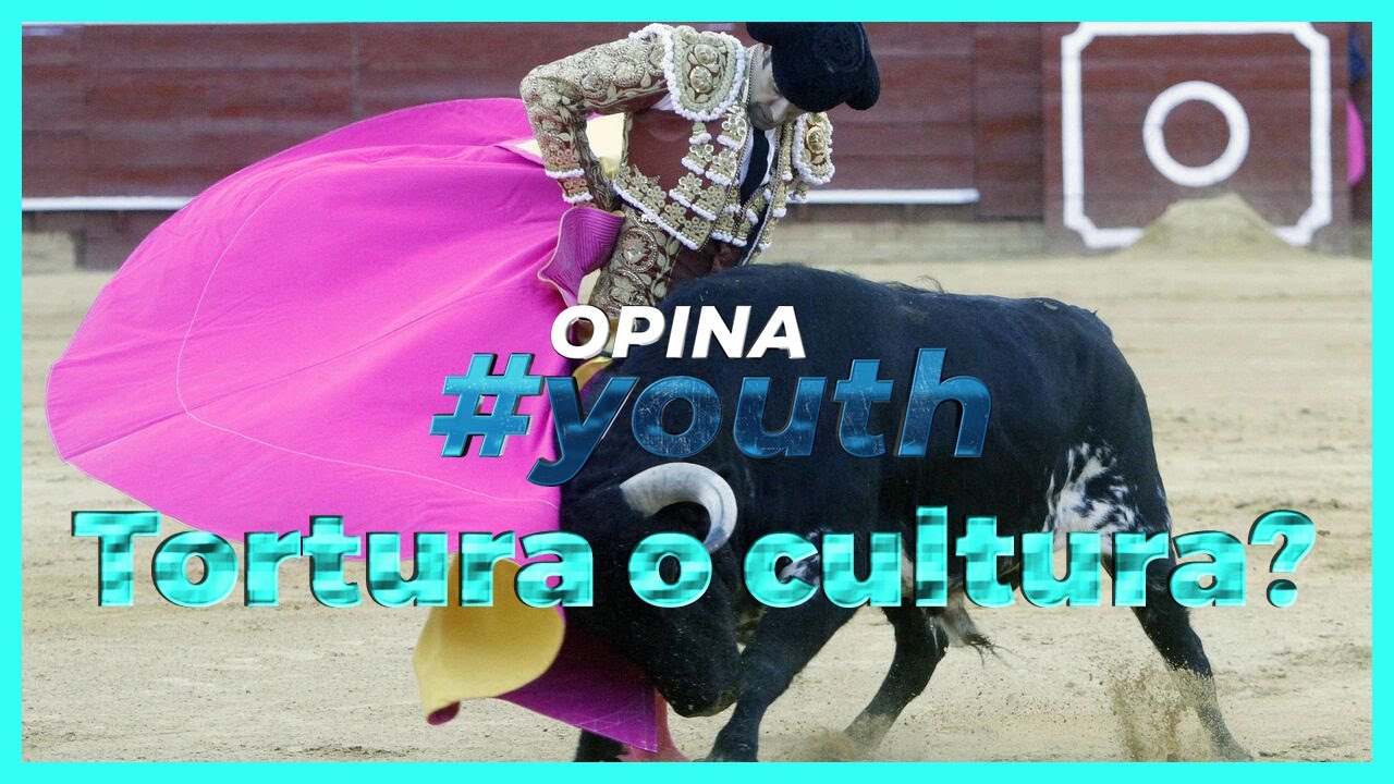 TOROS: Tortura o cultura? | OPINA YOUTH 09-11-20 - YouTube