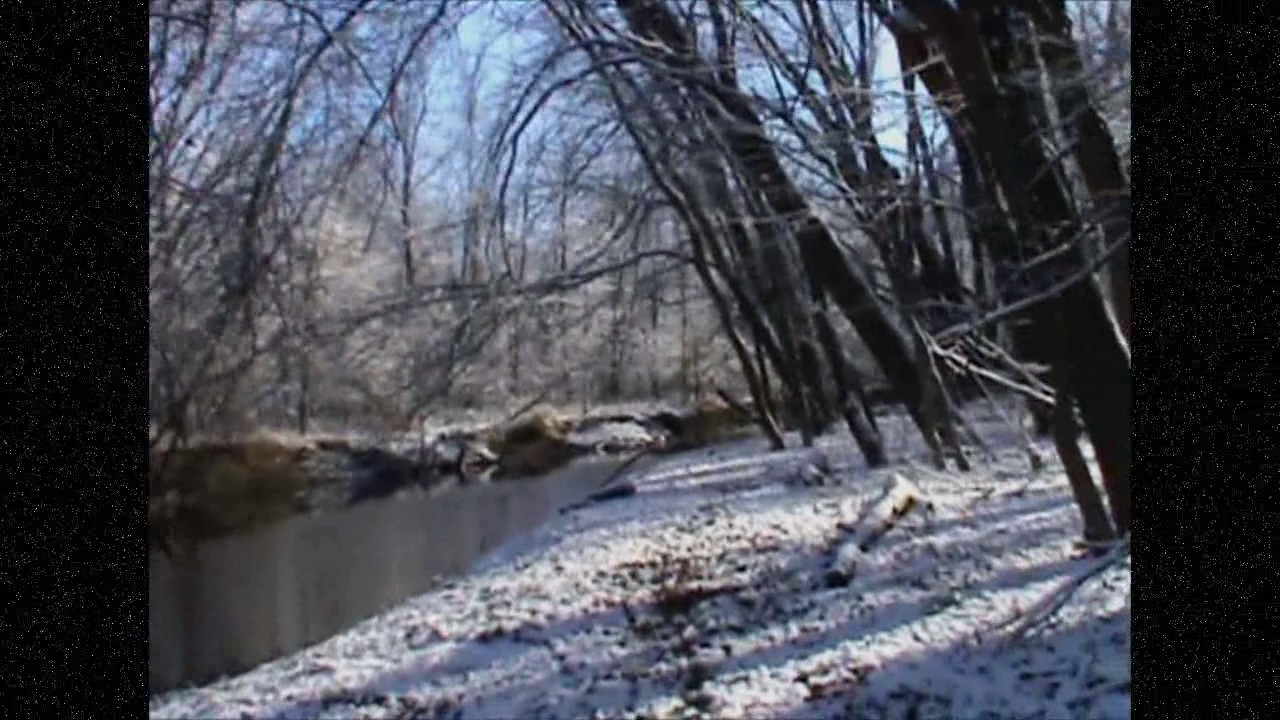 North Turkeyfoot Wildlife Area - YouTube
