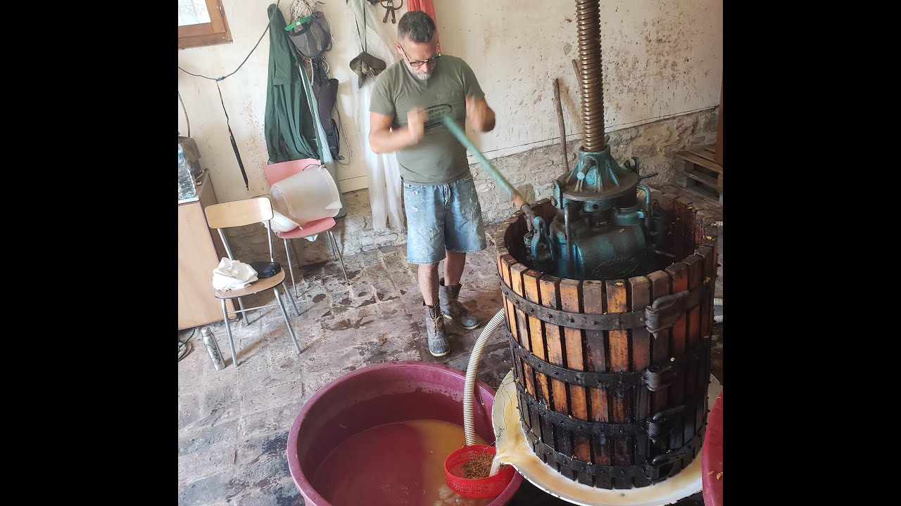 Natural Wine Making with Danilo Marcucci at Ceppaiolo - YouTube
