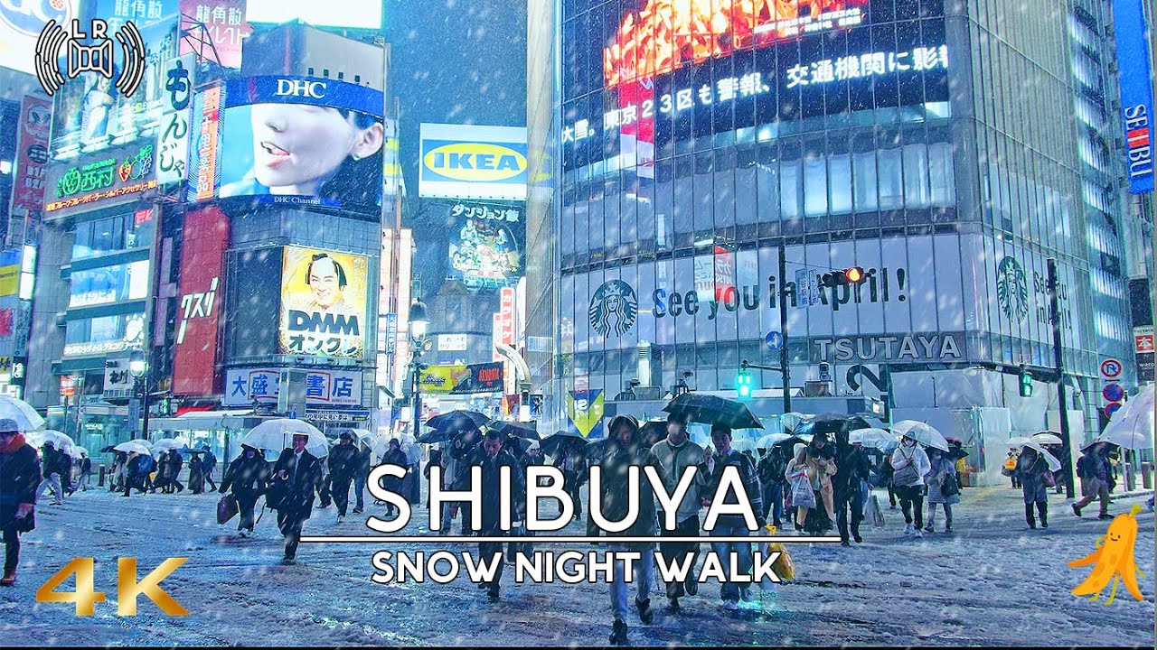 渋谷雪夜散歩 | Shibuya - Japan Snow Storm Night Walk Tour - 2024/02【4K 60 ...
