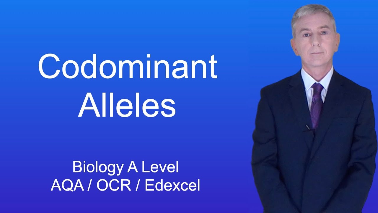 A Level Biology Revision (Year 13) "Codominant Alleles" - YouTube