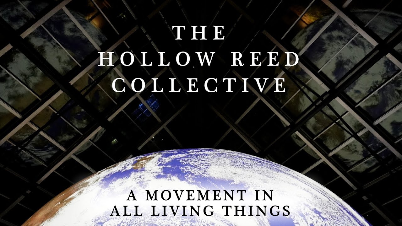 1. "A Movement in All Living Things" - The Hollow Reed Collective - YouTube