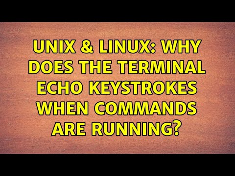 Unix & Linux: Why does the terminal echo keystrokes when commands are running? (2 Solutions ...