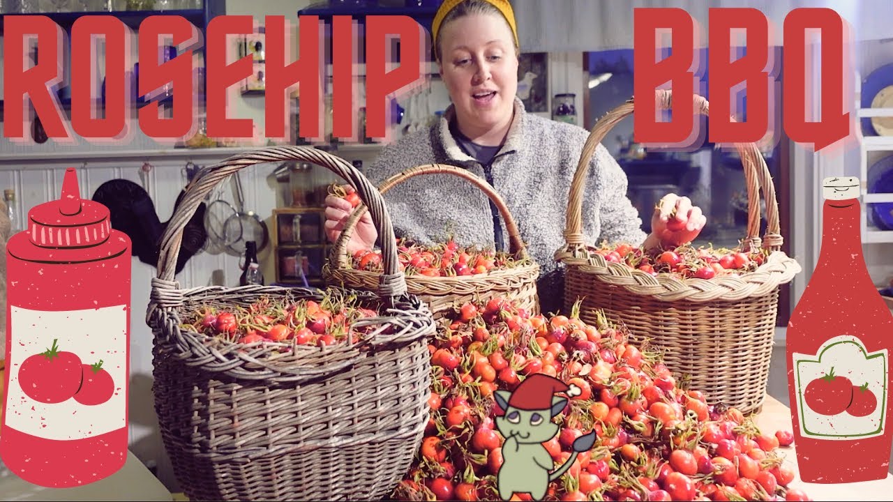 Foraging Rosehip Ketchup BBQ sauce ! ╰༼ ᗜ ༽╯ - YouTube