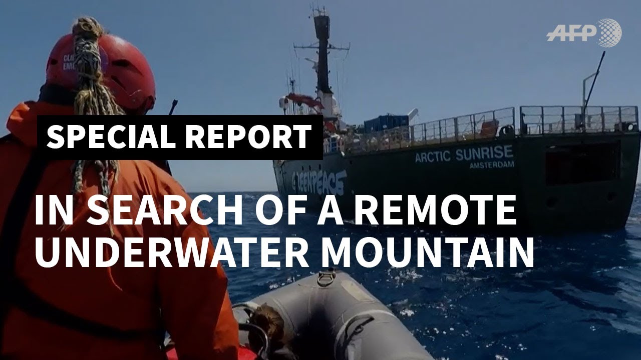 On the front line of ocean protection, scientists scour remote Atlantic ...