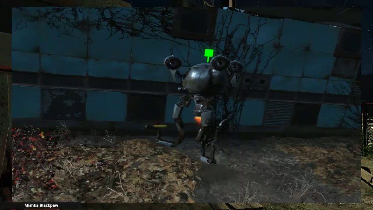 Fallout 4 VR- Furry mods _test run - YouTube