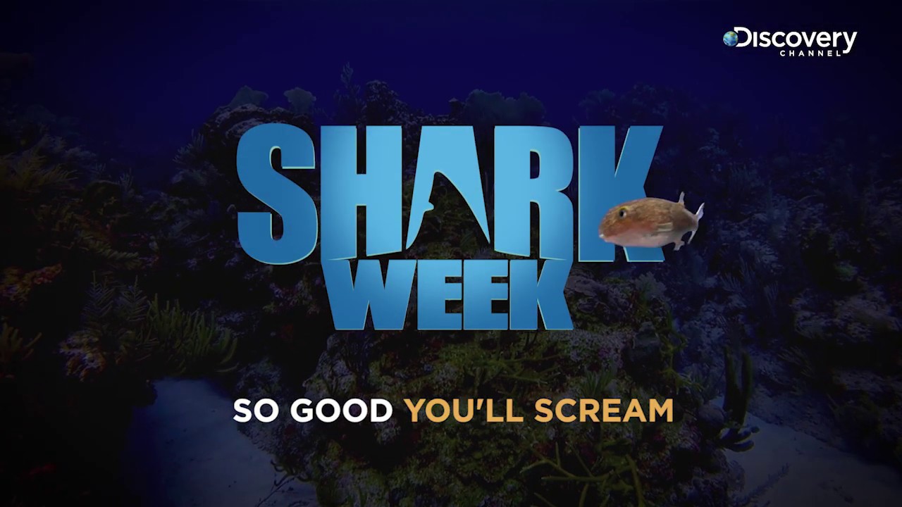 Shark Week 2019 - YouTube