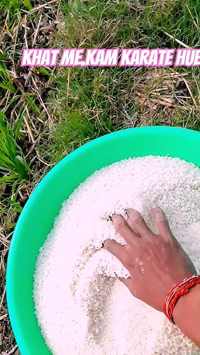 aaj ka vlog viral khet mein kam karte hue #vlog #viral #ytshorts #comedy #gamingwithvlogs - YouTube